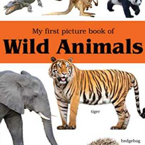 My first picture book of Wild Animals - L192