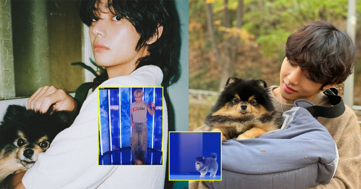 មិនប្លែកមិនមែន V ដឹកសុនខ tannie ឡើងឆាកច្រៀងយ៉ាងឡូយ (មានវីដេអូ ...